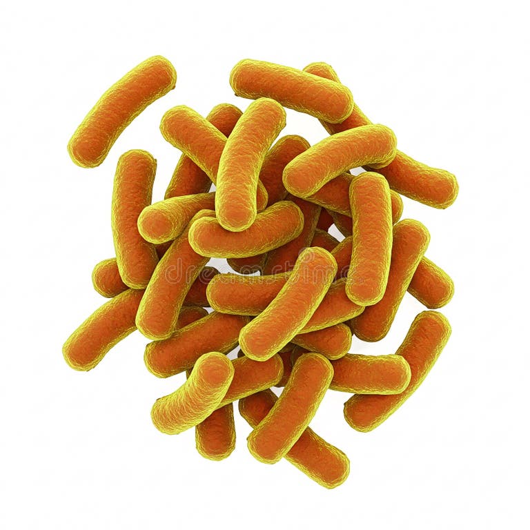 A Microscopic View of a Cluster of Rod-shaped Bacteria Stock ...