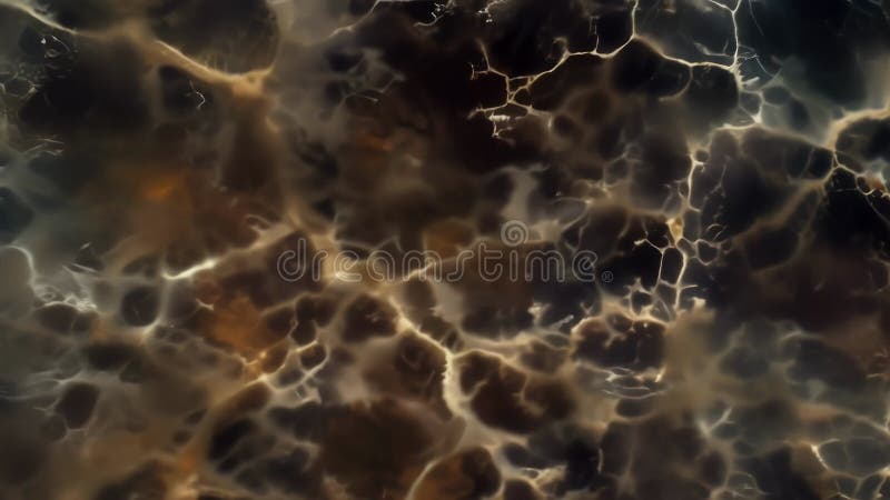 Microscopic Coral-Like Structures with Dappled Lighting Displaying a ...