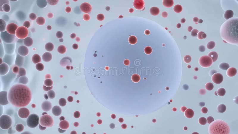 A Microscopic View of Developing Red Blood Cells, Also Known As ...