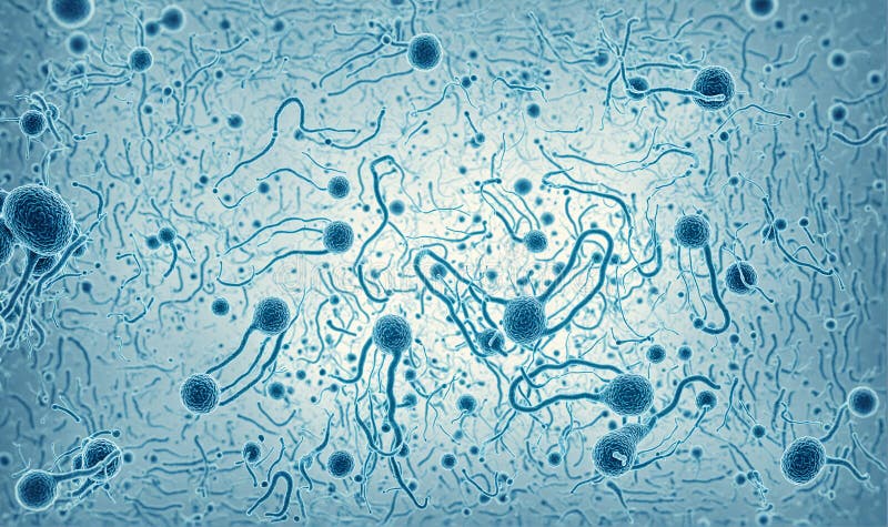 Microscopic View of Diverse Bacteria Stock Illustration - Illustration ...