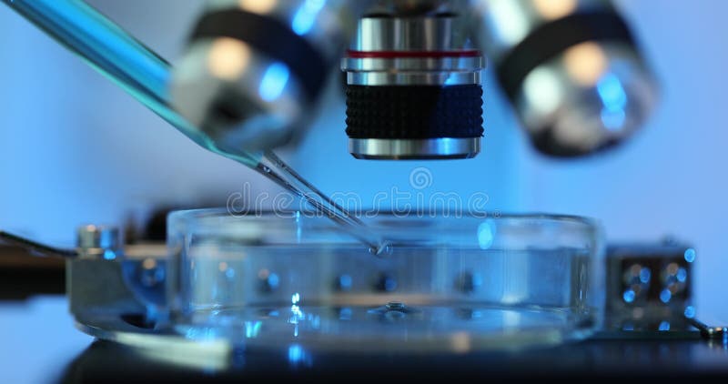 Microscopic View of a Drop of Liquid on a Glass Slide Stock Footage ...