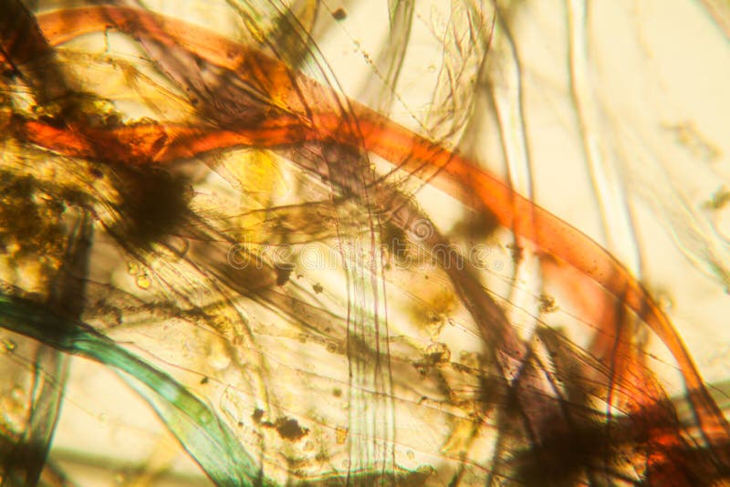 Microscopic view of dust stock image. Image of dust - 111148193