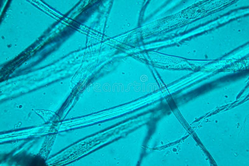 Microscopic view of dust stock image. Image of colorful - 111146839