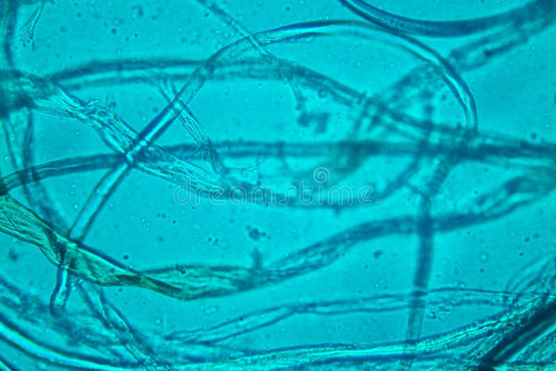 Microscopic view of dust stock image. Image of light - 111146841