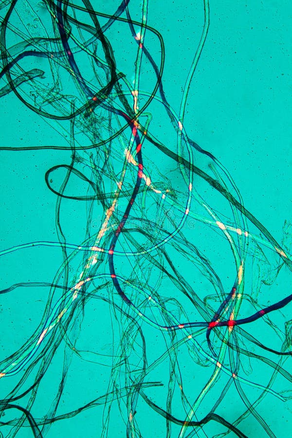 Microscopic view of dust stock photo. Image of dirt - 111147136