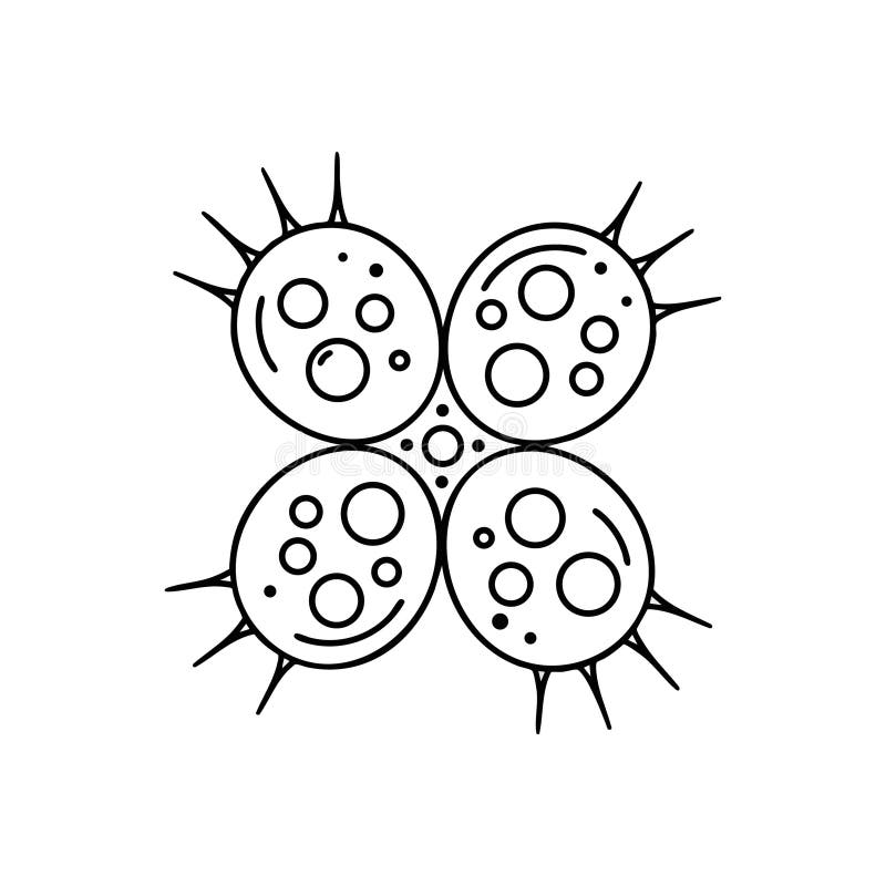 Microscopic View of Four Clustered Cells with Spiky Edges Vector ...