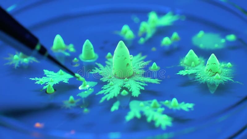 Microscopic View of Glowing Crystal Formations in a Petri Dish Under UV Light, Showcasing ...