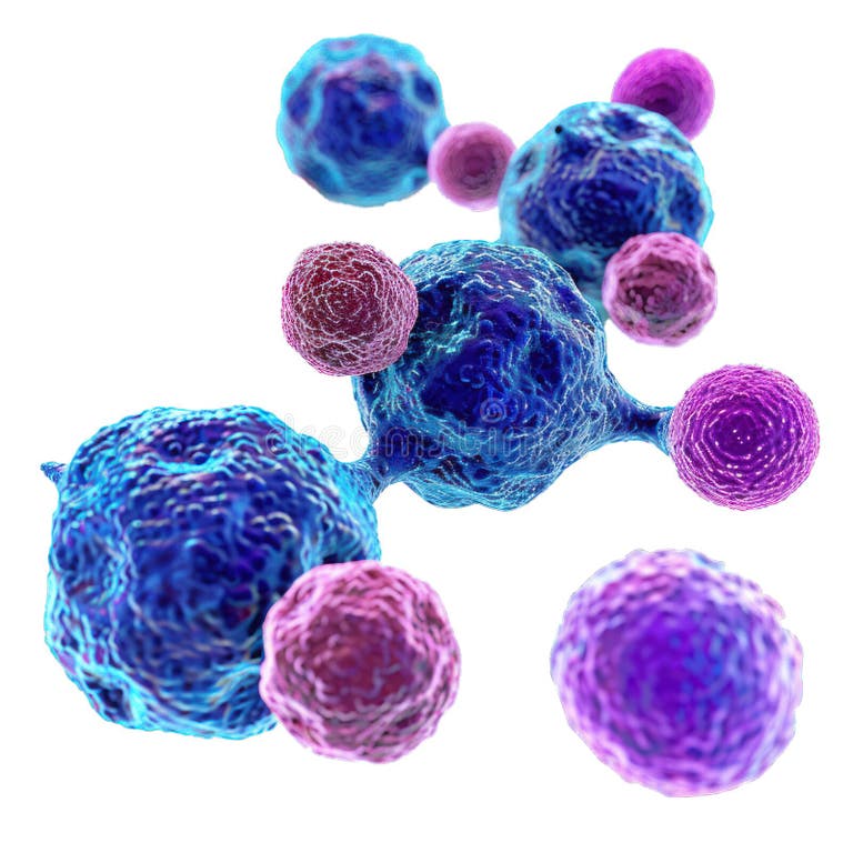 Microscopic View of Immune System Cells Attacking Pathogenic Bacteria ...