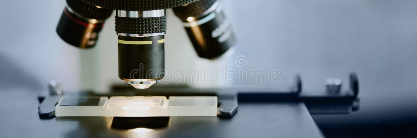 103 Glass Slide Under Microscope Stock Photos - Free & Royalty-Free ...