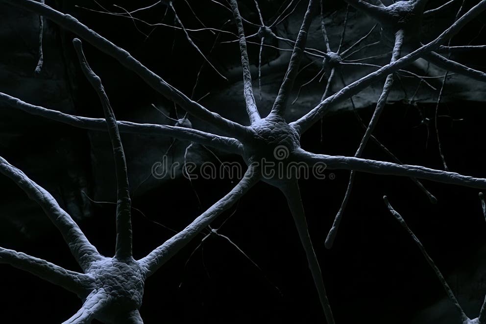 Microscopic View of Neuron Network Complex Interconnections in the ...