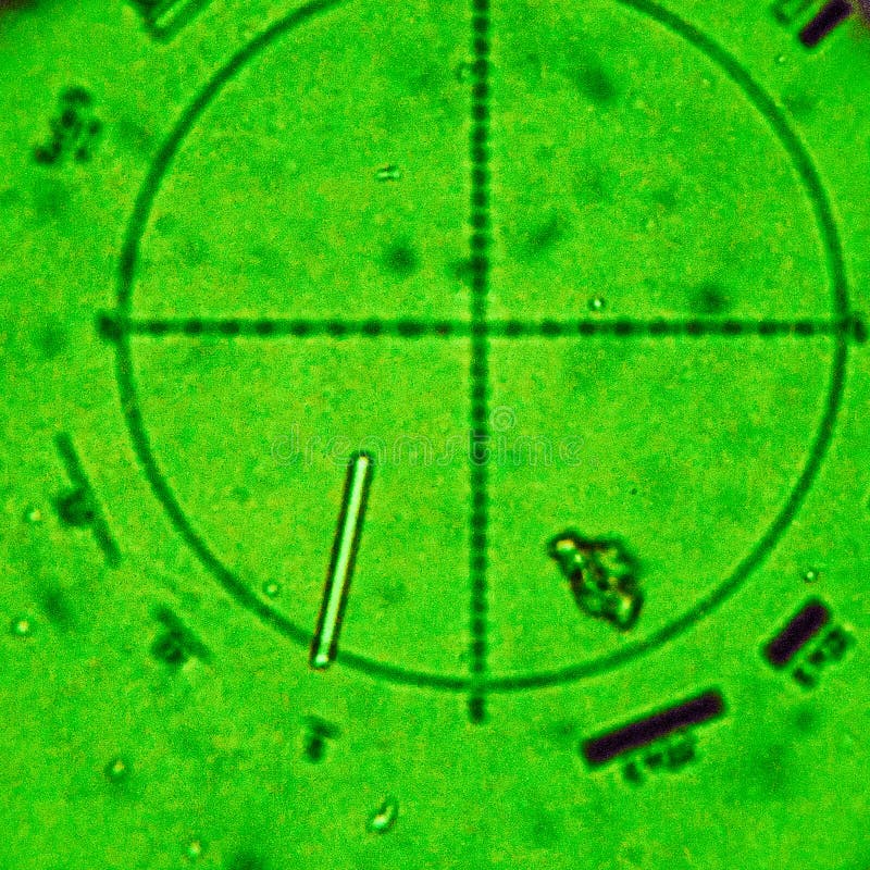 Microscopic View One Asbestos Fiber Stock Photos - Free & Royalty-Free ...