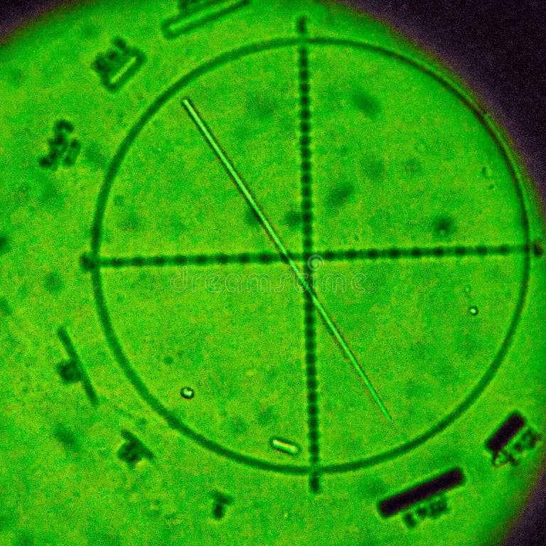 Microscopic View of One Asbestos Fiber Stock Photo - Image of waste ...