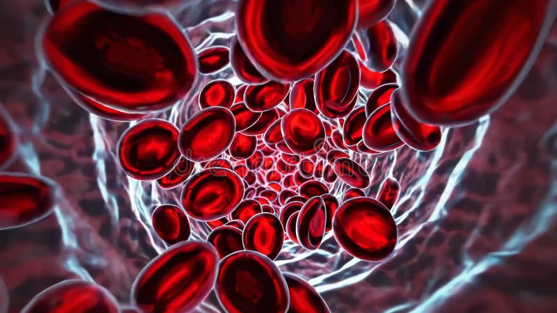 Red Blood Cells Flowing Inside an Artery Stock Footage - Video of ...