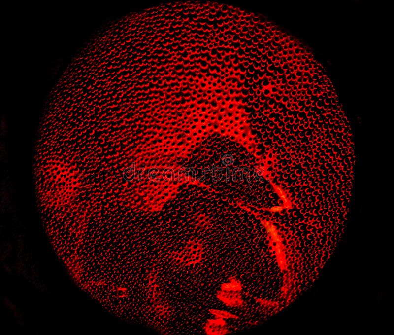 Microscopic View of a Red Textured Surface for Wallpaper and Background ...