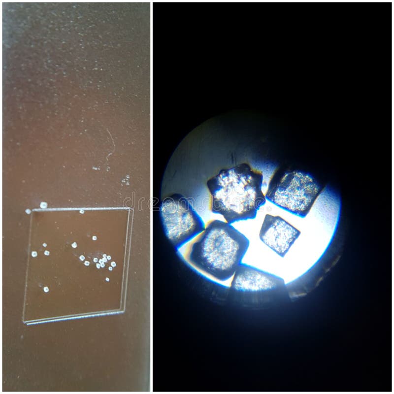 Microscopic View of Table Salt Stock Image - Image of transparent ...