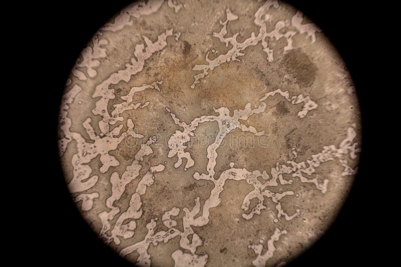 Microscopic view stock image. Image of view, magnification - 82908327