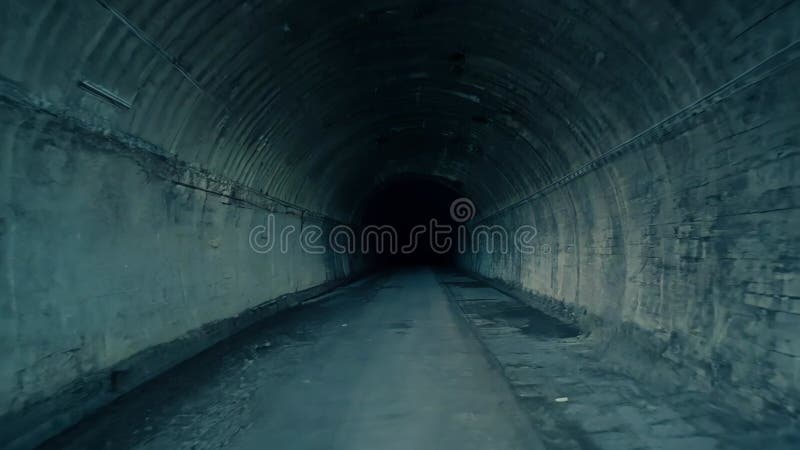 Microscopic View of Water Drop with Vibrant Bacteria and Microorganisms ...