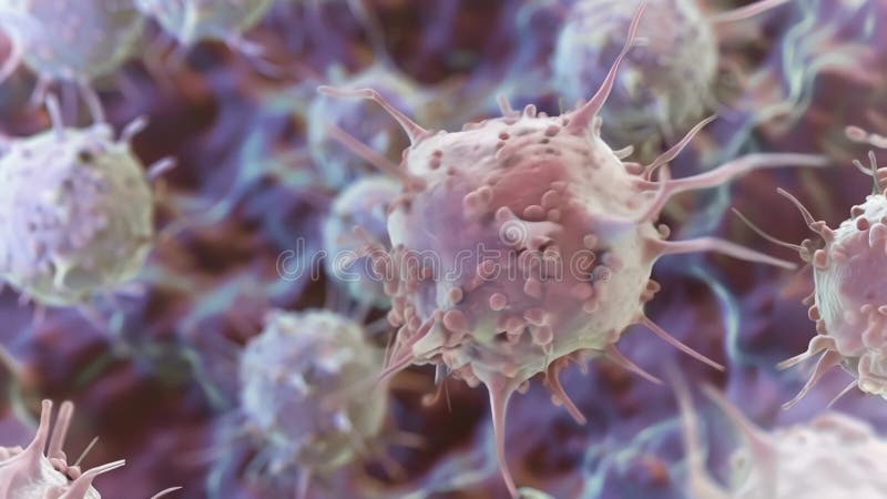 A Microscopic View of White Cells with Their Distinct Nucleus and ...