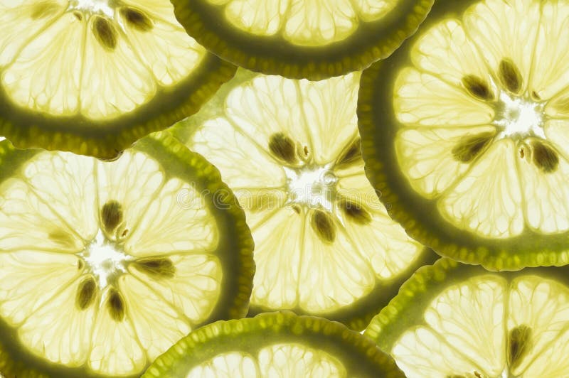Microscopic View of Wild Lemon Pieces Forming a Beautiful Texture ...