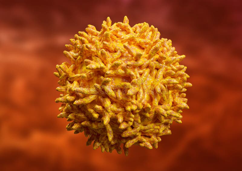 Microscopic View of the Yellow Fever Virus Stock Illustration ...