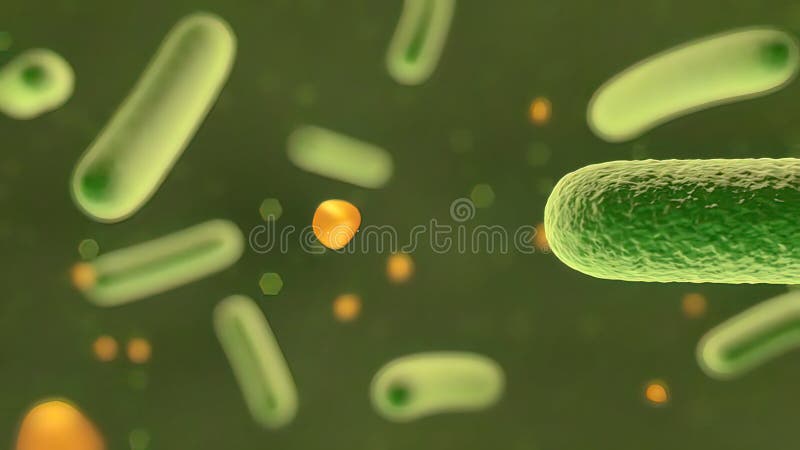 Microscopic Visualization of Bacteria Stock Illustration - Illustration ...