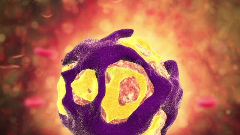 Microscopic Visualization of the Dengue Virus Stock Footage - Video of ...