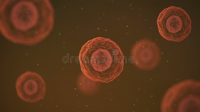 Microscopic Visualization of Plasma Cells Stock Video - Video of ...