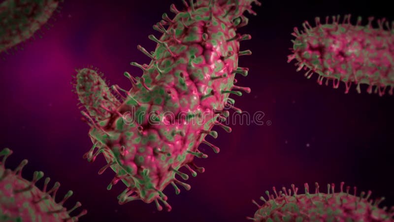 Microscopic Visualization of Rabies Virus Stock Footage - Video of ...
