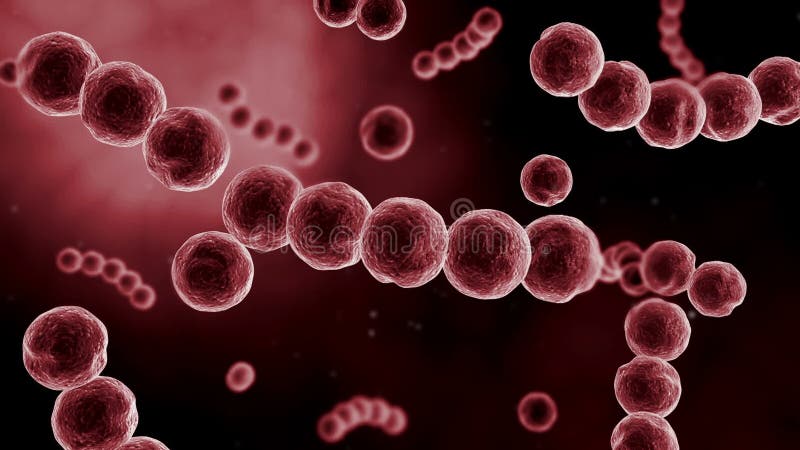 Microscopic Visualization of Streptococcus Stock Footage - Video of ...