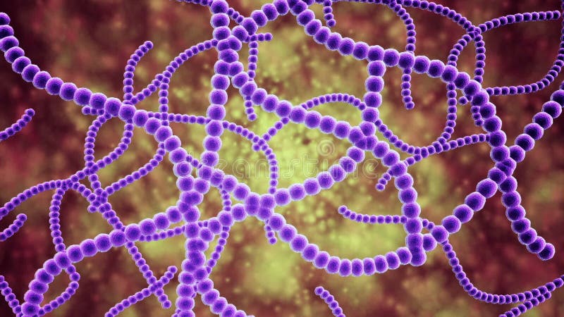 Microscopic Visualization of Streptococcus Pneumoniae Stock Video ...