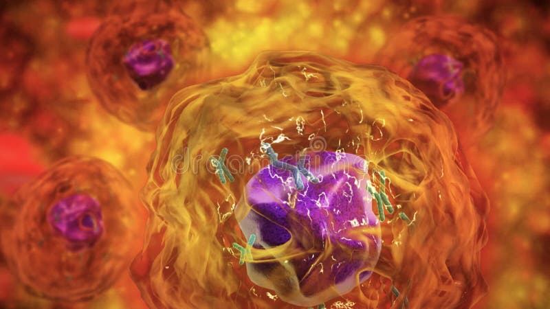 Microscopic Visualization of Transparent Cell Nucleus with Chromosomes ...