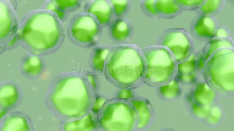 Microscopic Visualization of Vibrant Microscopic Cells, Highlighting ...