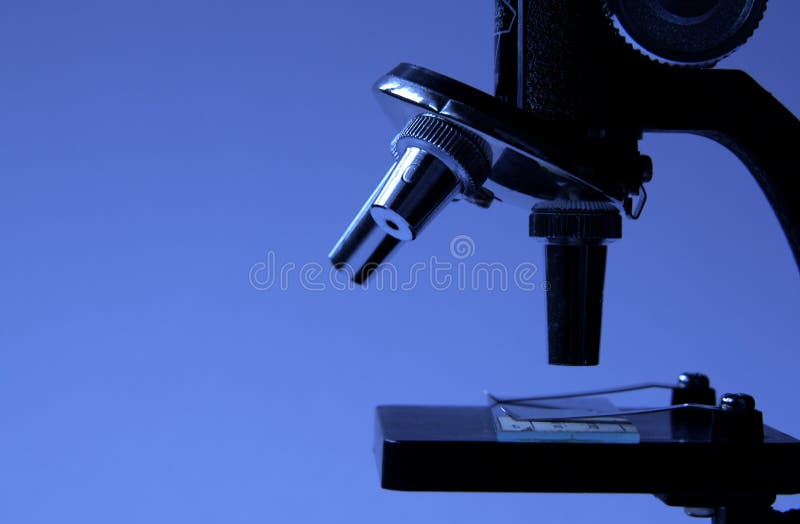 Microscopia Del Cáncer Del Intestino Imagen de archivo - Imagen de ...