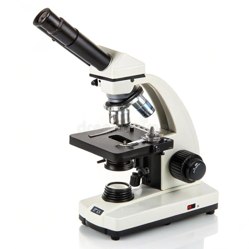 Microscopio Compuesto Aislado En Fondo Transparente Stock de ...
