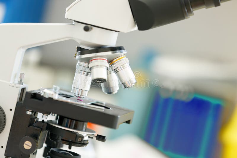 Diapositiva De La Microscopia Disponible Foto de archivo - Imagen de ...