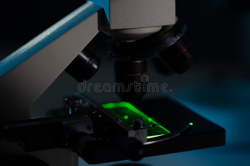 Microbiología : Se Utilizan Microscopios ópticos Para Estudiar Microorganismos Foto de archivo ...