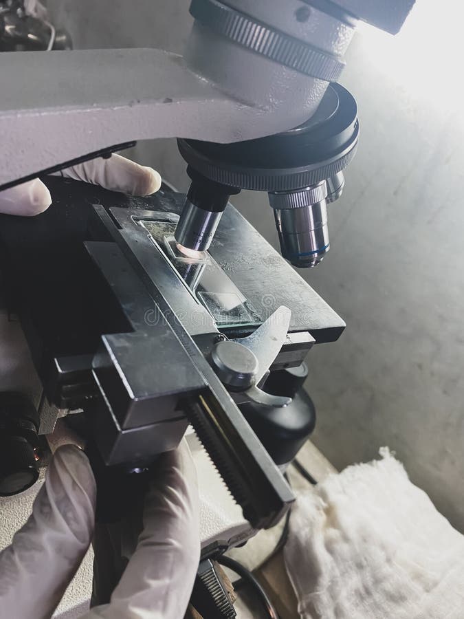 Microscopy Observation Testing of the Sample in the Laboratory Stock ...