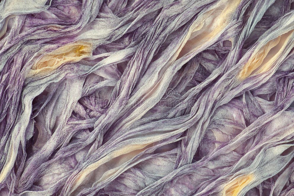 Microstructure of Natural Materials Showcases Intricate Patterns and ...