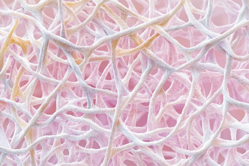 Microstructure of Natural Materials Showcases Intricate Patterns and ...