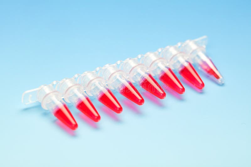 PCR samples in microtubes stock photo. Image of blue - 40676854