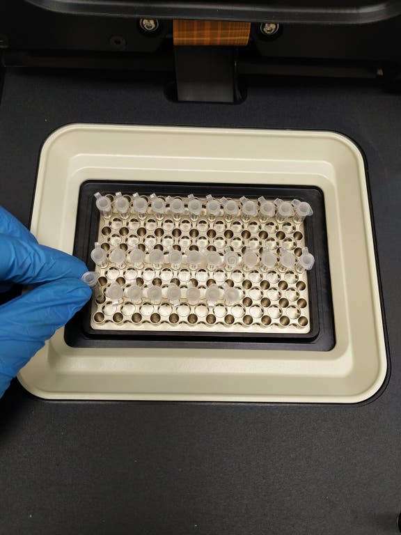 Microtubes in the Cyclers. PCR Analysis Stock Image - Image of type ...