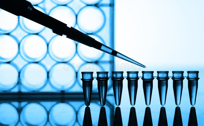 Microtubes stock image. Image of meal, quality, micropipette - 44548027