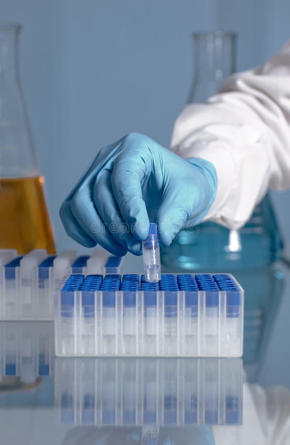 Microtubes in a rack stock photo. Image of freezing, blood - 22388598