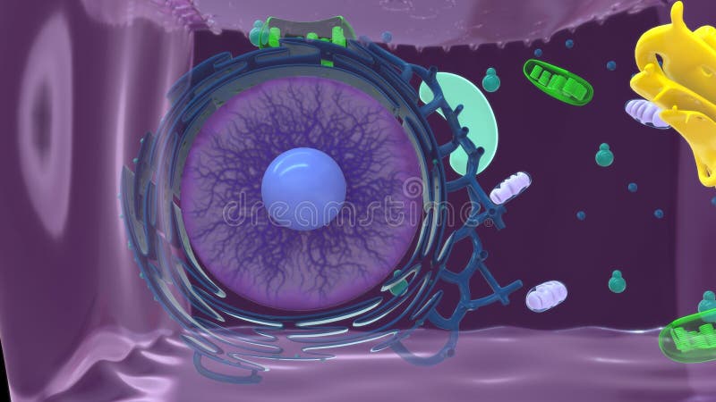 Structure of Microvilli stock illustration. Illustration of intestine ...