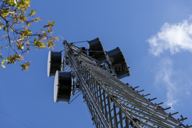 Microwave Tower and Dishes and Tree Branch Editorial Image - Image of ...