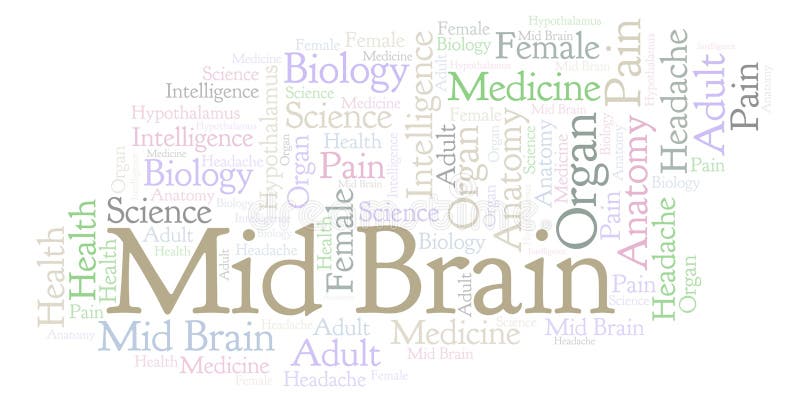 Mid Brain Stock Illustrations – 134 Mid Brain Stock Illustrations ...