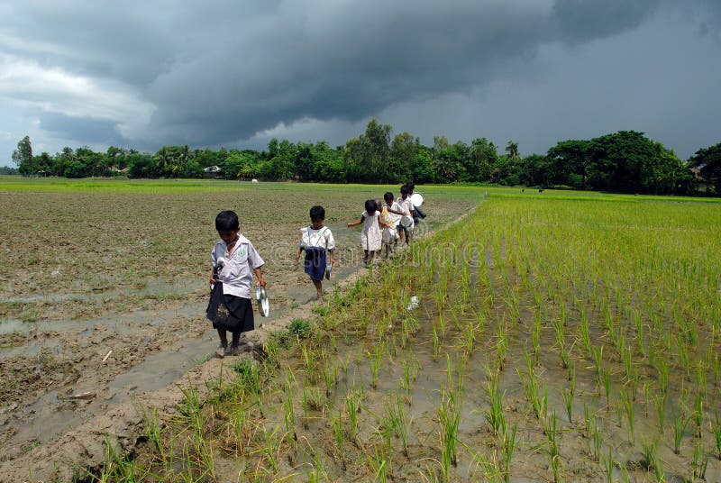 Mid-Day Meal editorial stock photo. Image of foods, bous - 26809068