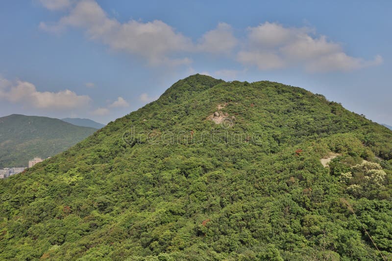 Mid-Levels of MOUNT CAMERON at Hk Stock Photo - Image of aberdeen, kong ...