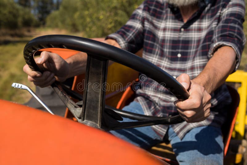 Mid Section of Man Driving Tractor in Olive Farm Stock Image - Image of ...