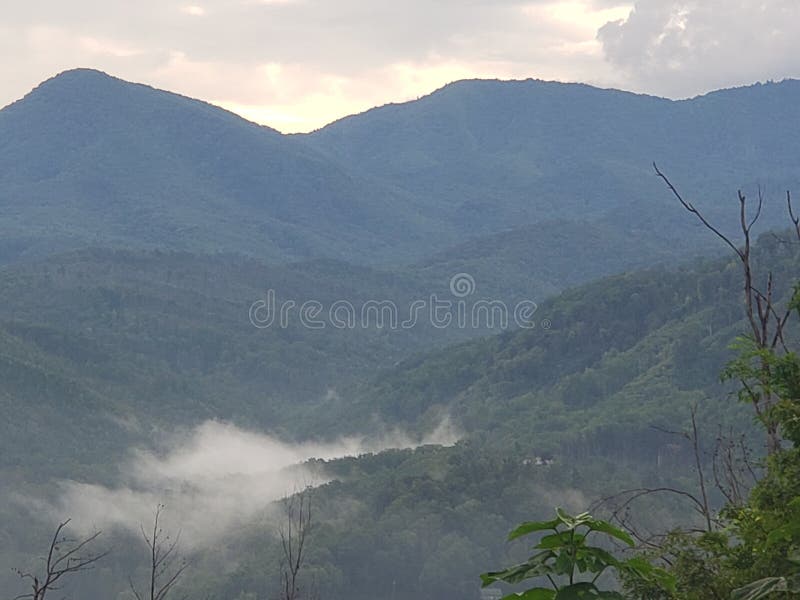 Mid September in the Smokie Mountains Stock Image - Image of tree ...